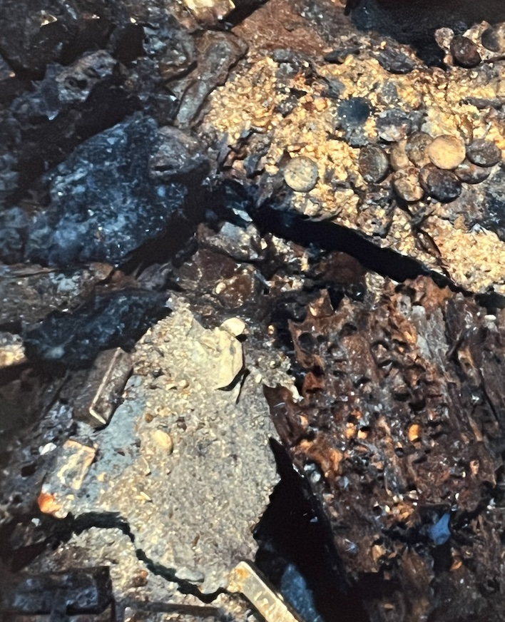 Gold Dust and Nuggets from the SS Central America